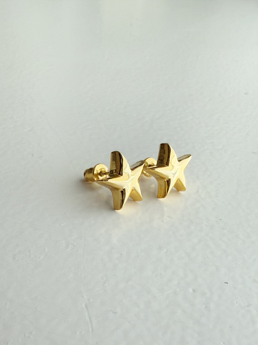 star pierce/earring｜CHIEKO+(チエコプラス)公式通販